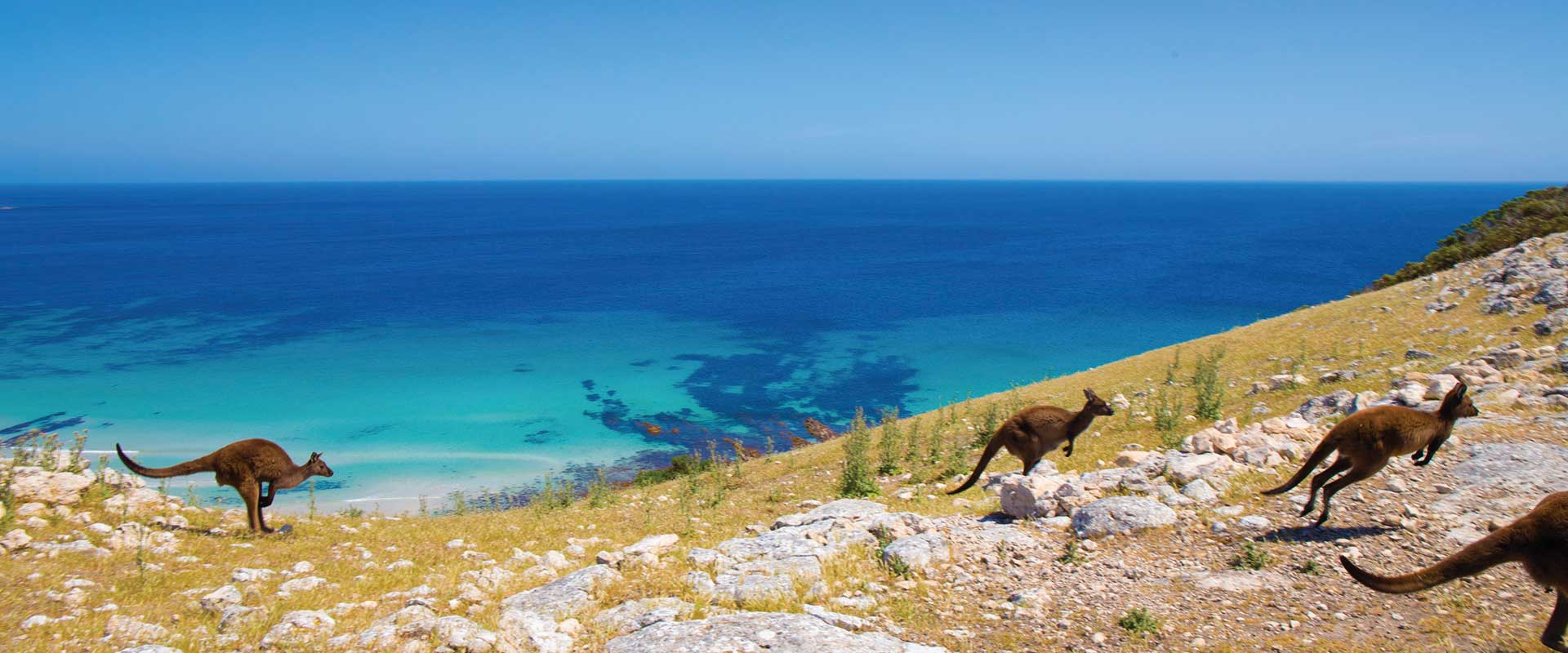 Outdoor Activities & Things To Do on Kangaroo Island | South Aus...